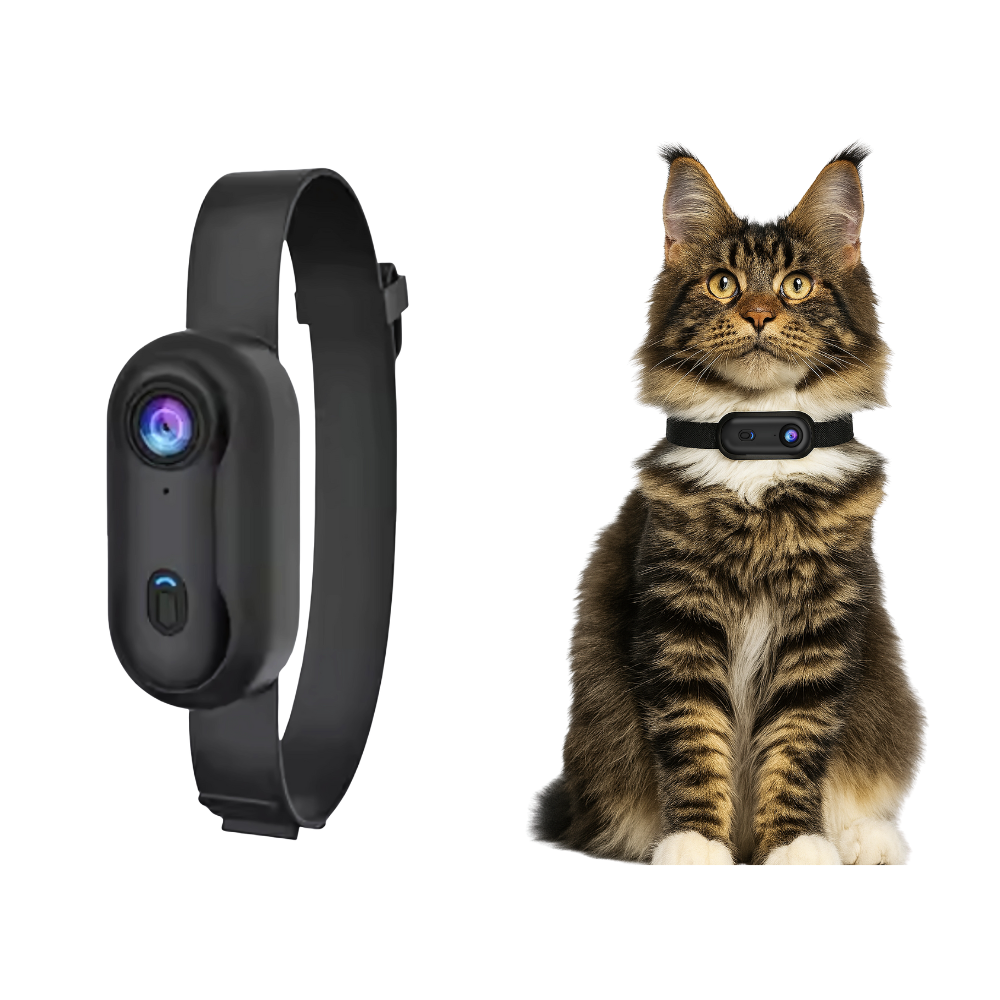 Visual PetMount – Dyrehalsbånd til Visual GoCam Mini Actionkamera – Nordic Visual